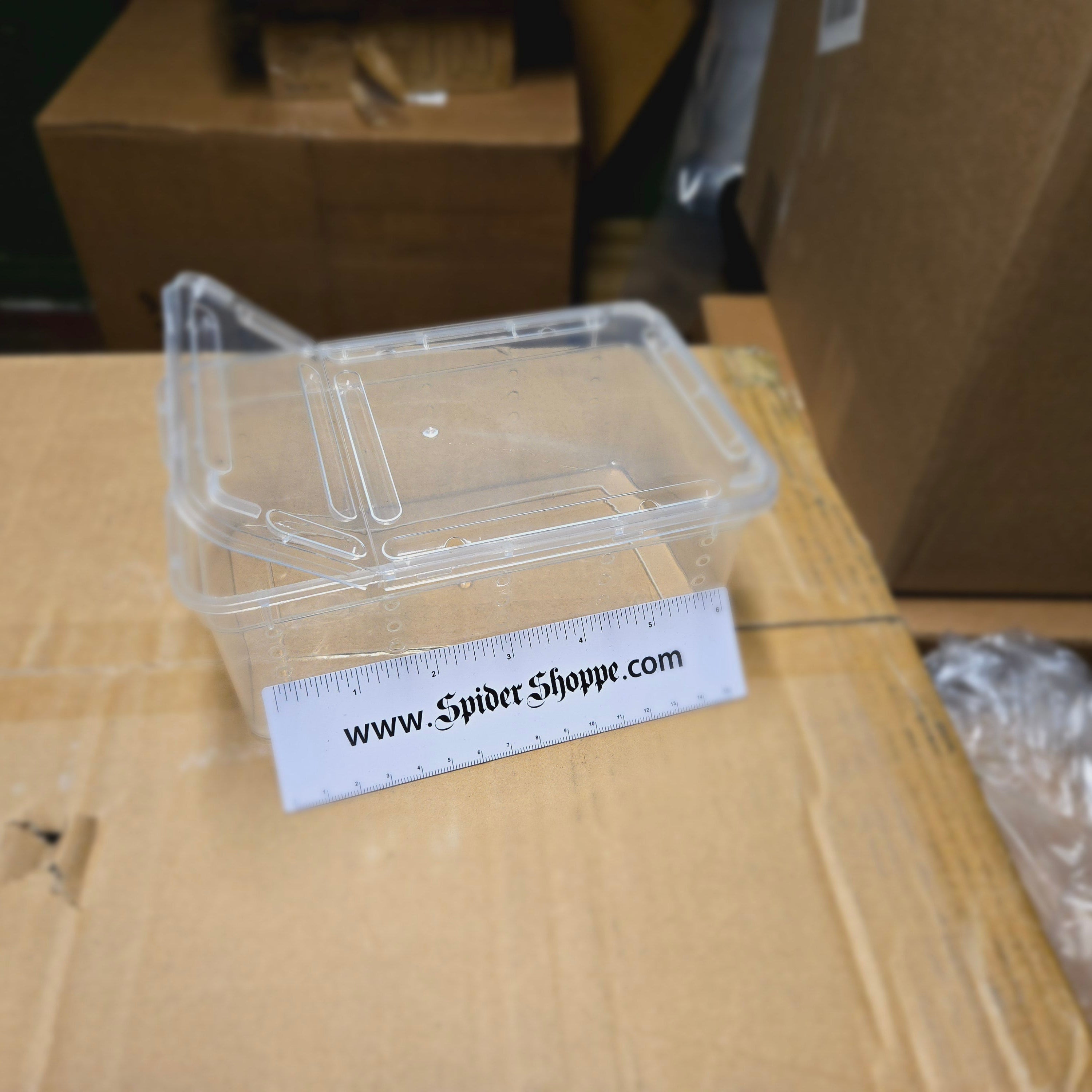 Keeper Box – Spider Shoppe