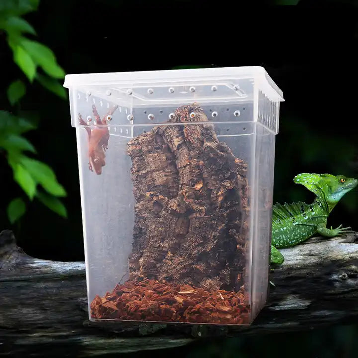 Arboreal/Fossorial Enclosure 8x8x10" – Spider Shoppe