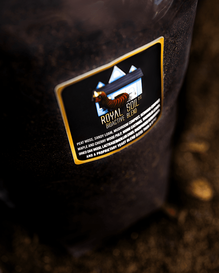 Royal Soil Bio-Blend 6QT – Spider Shoppe